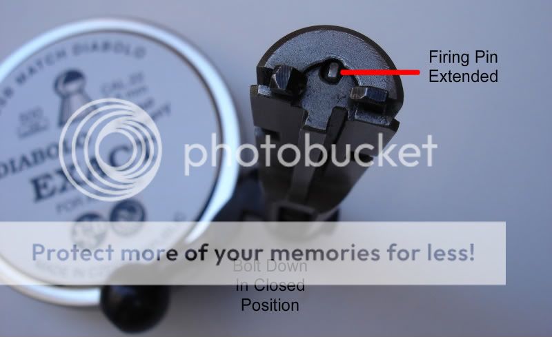 Dry Fire Pictorial For CZ/Brno Rimfire | Rimfire Central Firearm Forum